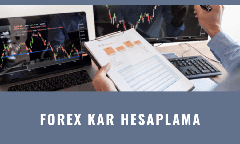 Forex Kar Hesaplama - 2025
